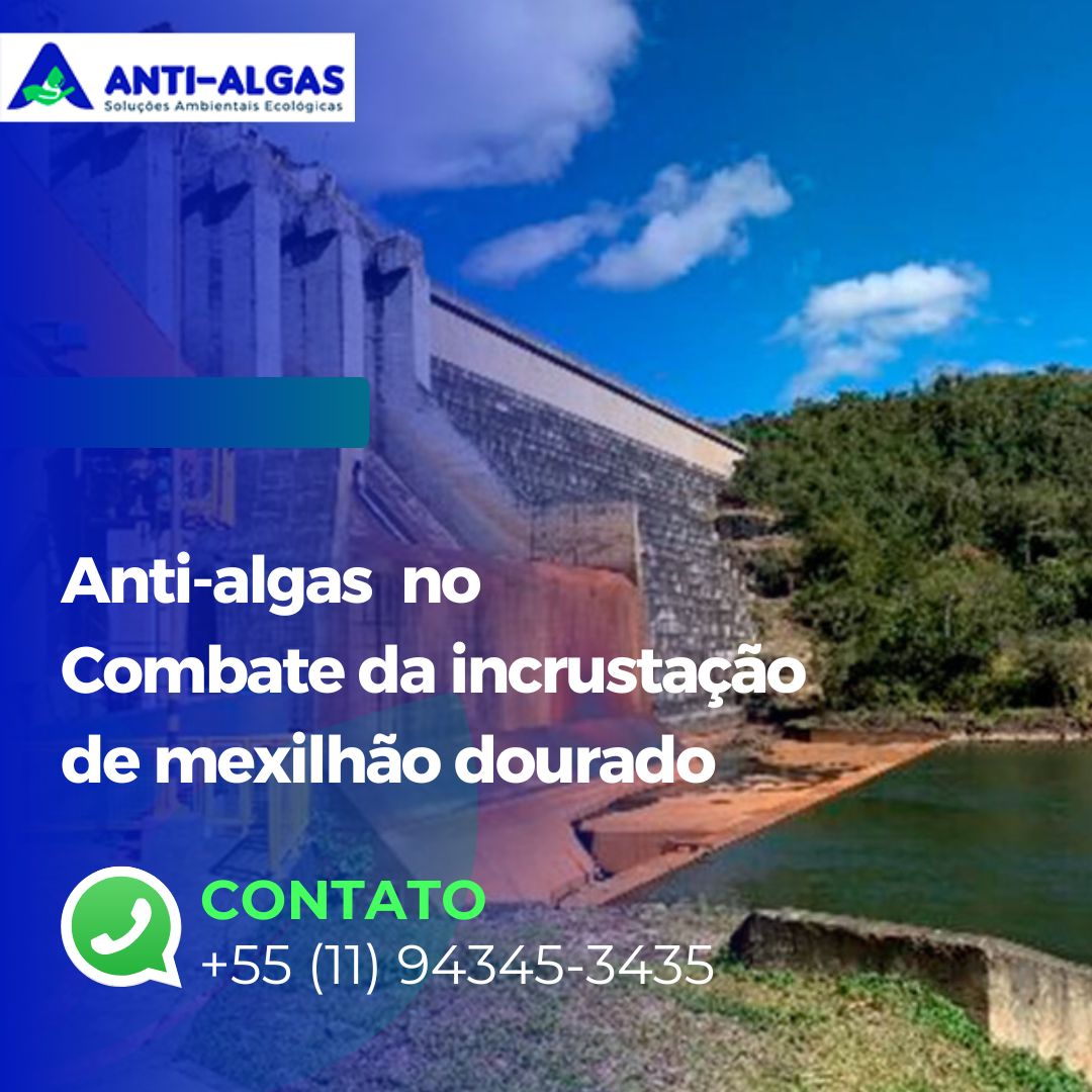Combate ao Mexilhão Dourado - Anti-Algas
